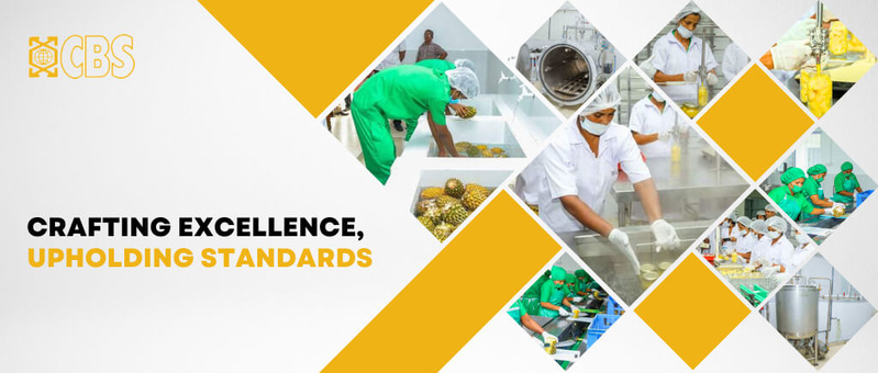 ABOUT US - CONSOLIDATED BUSINESS SYSTEMS LIMITED